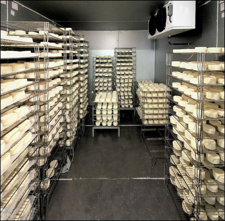 Four Fat Fowl is All About Family - Cheese Connoisseur