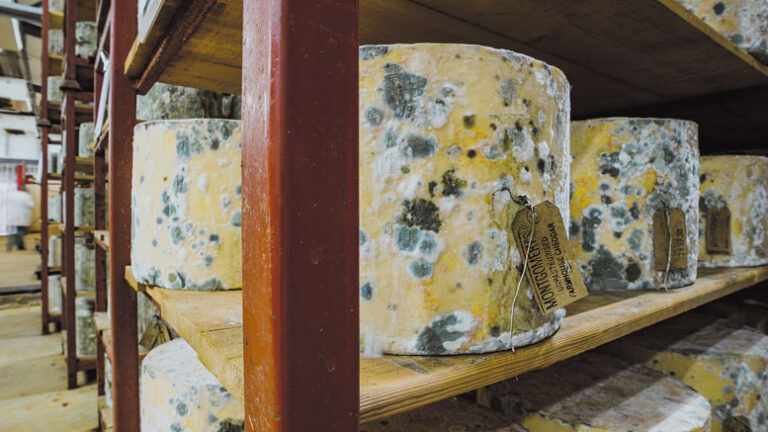 The British Cheese Renaissance - Cheese Connoisseur