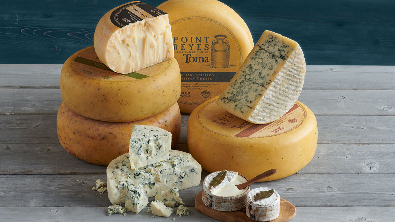 Sister Power - Cheese Connoisseur